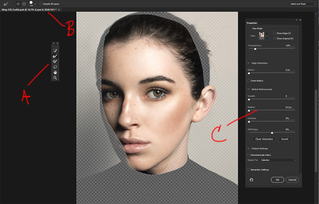 Working With Selections: The New Select and Mask Feature - Retouching ...